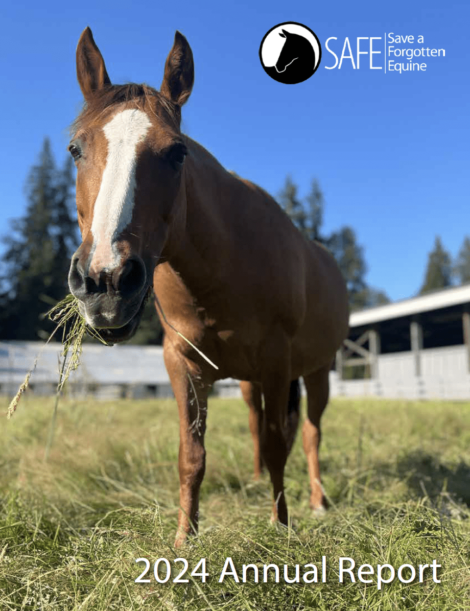Save A Forgotten Equine